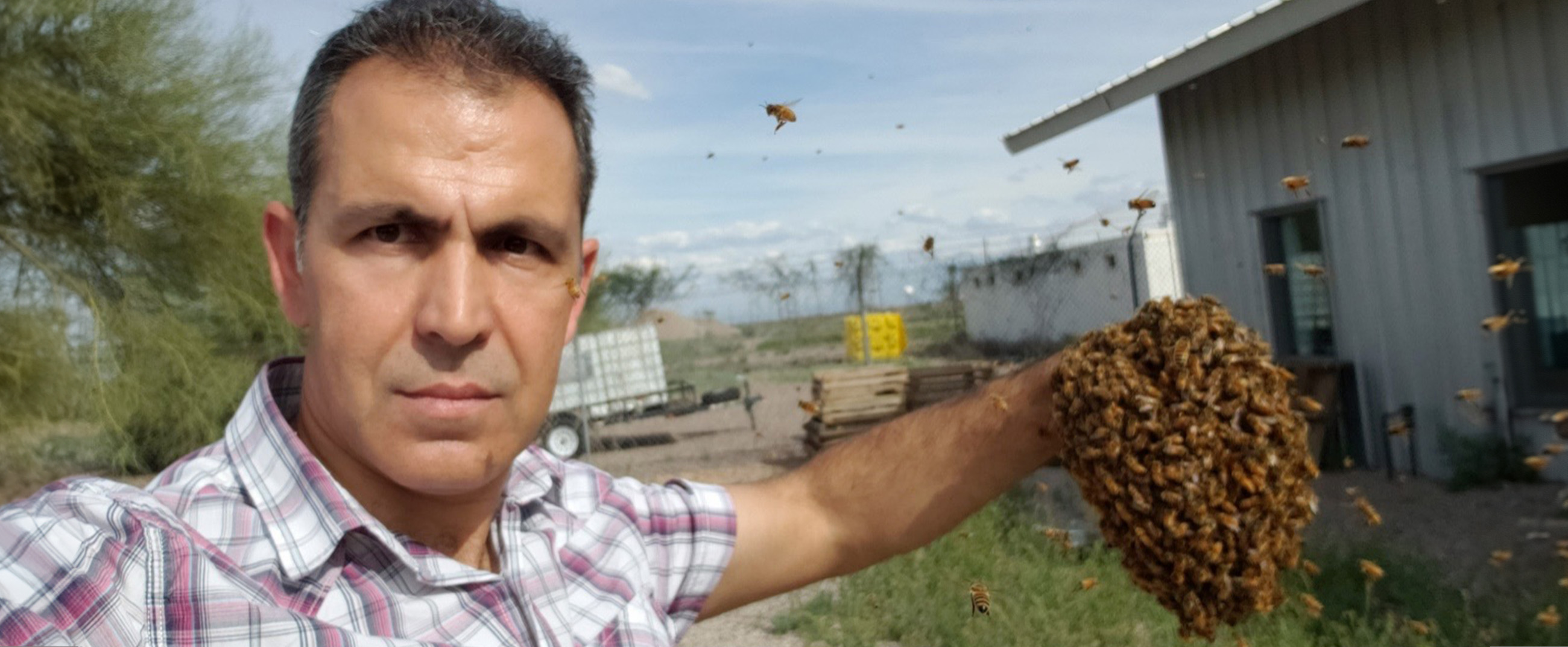 Private Beekeeping - ASU CareerCatalyst