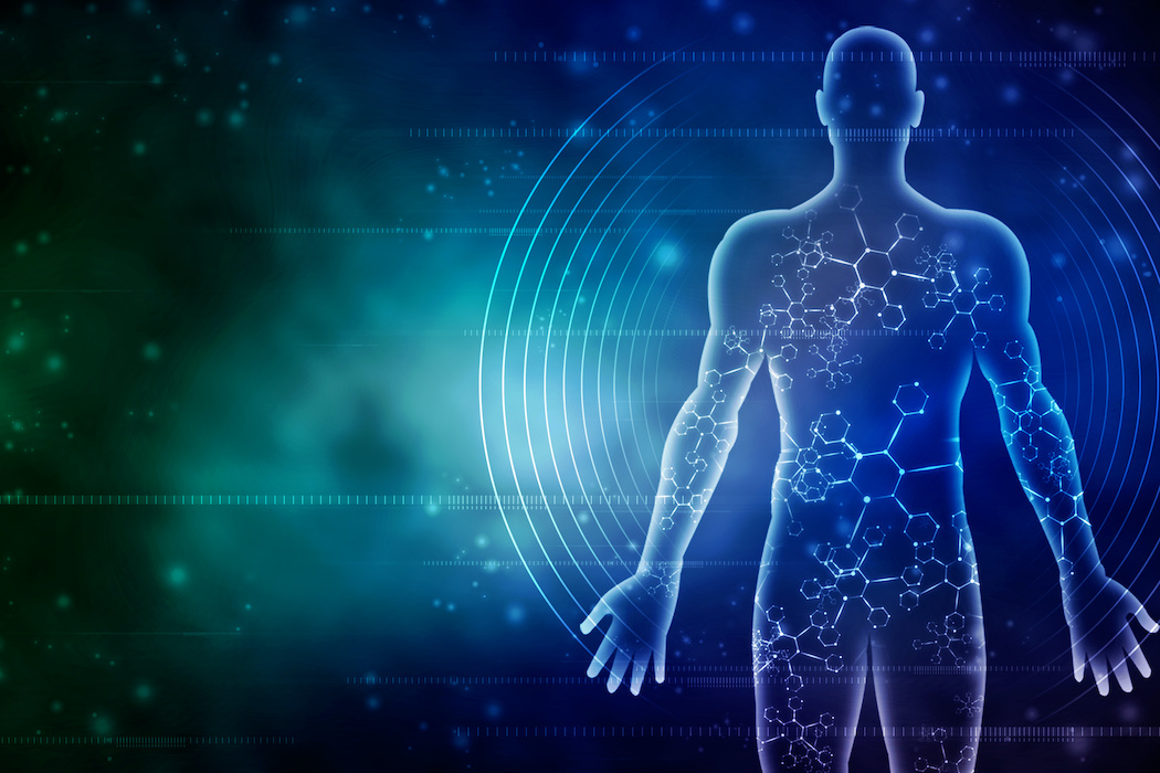 Anatomy & Physiology II - ASU CareerCatalyst